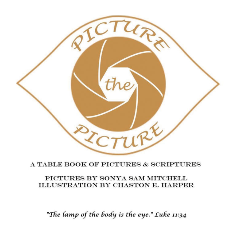Picture the Picture